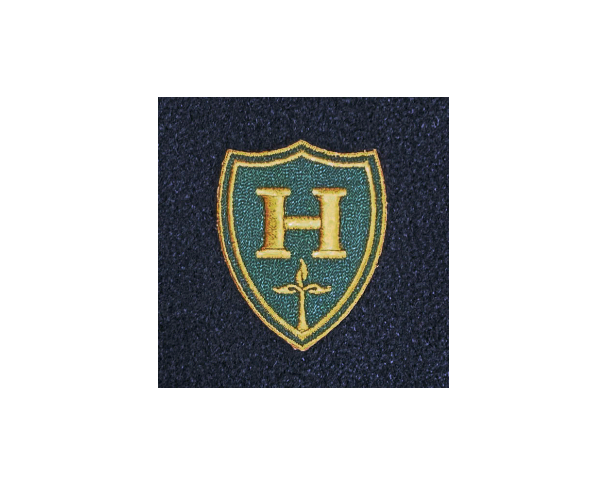 hca logo school
